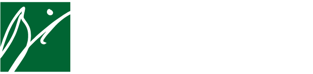 bingler + partner – BUCHHALTUNG . ORGANISATION